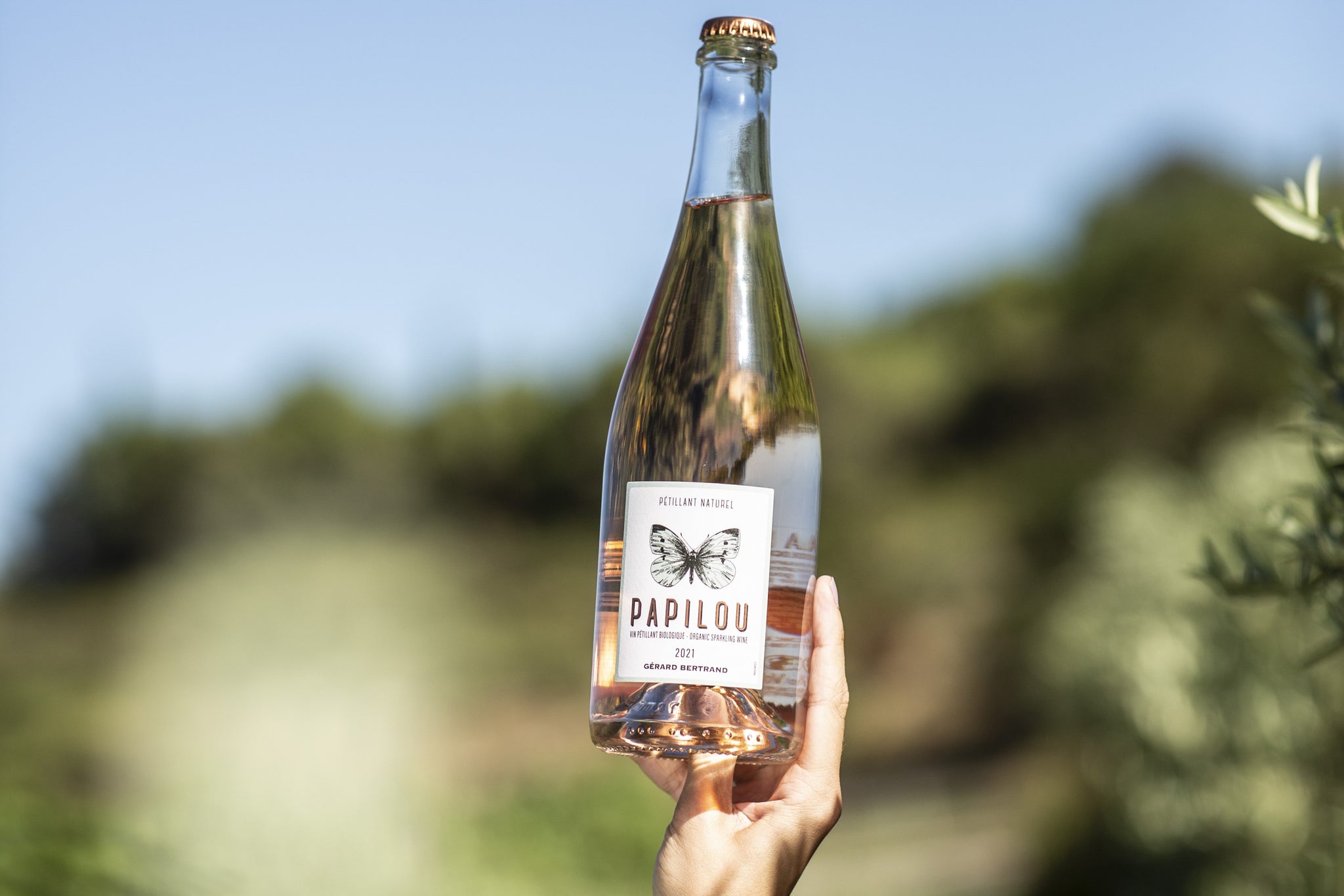 Comment lire une étiquette de vin