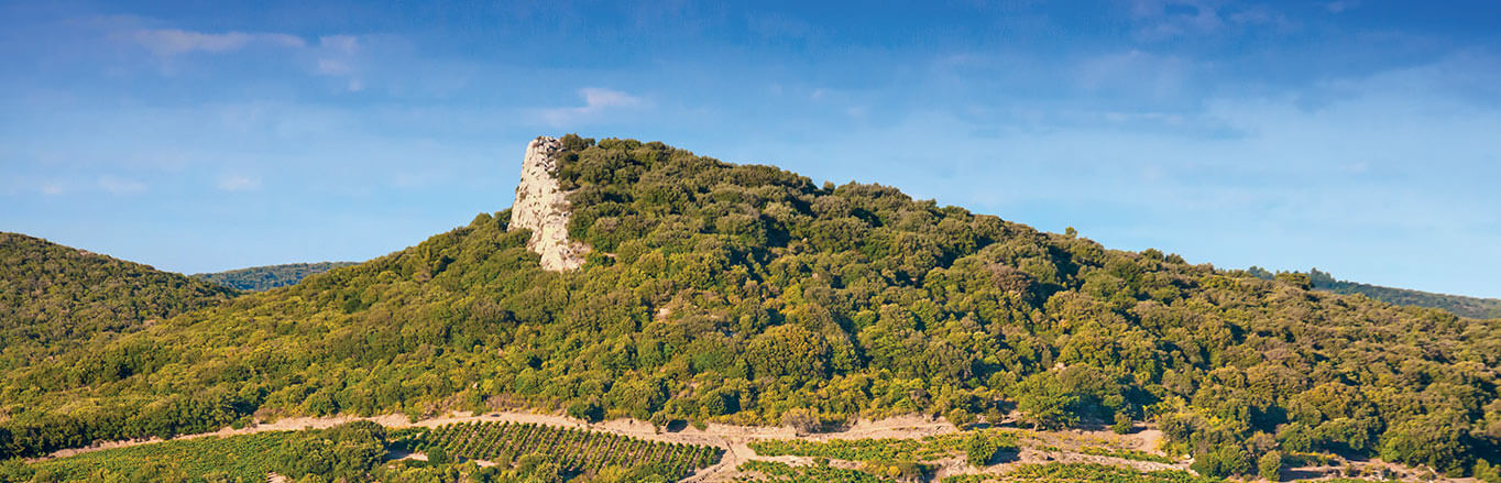 Gérard Bertrand | Clos du Temple - AOP Languedoc Cabrières