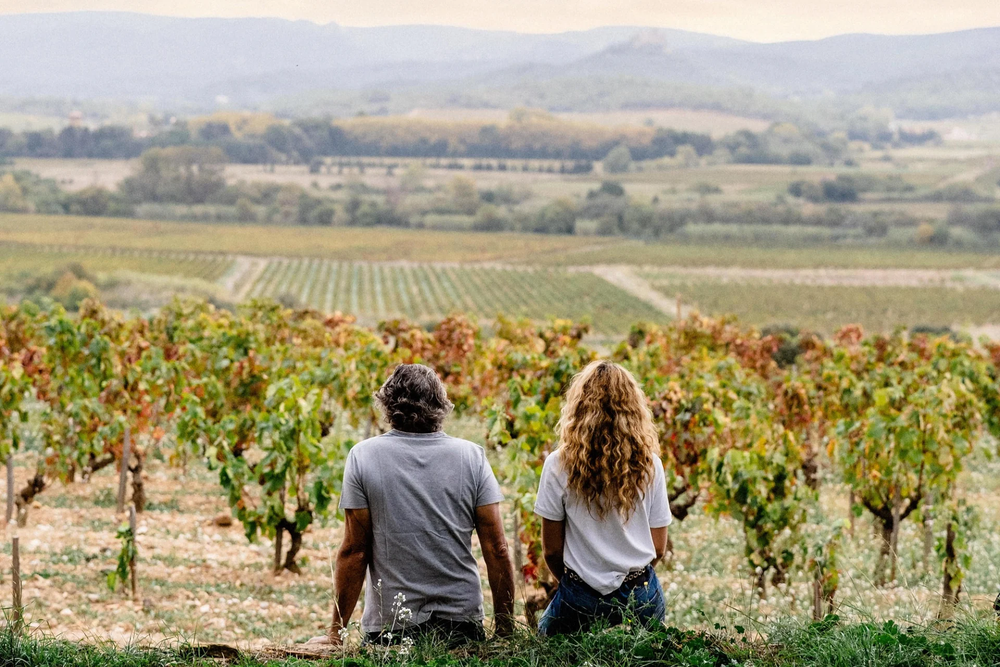 Comment déguster un vin : les étapes à suivre