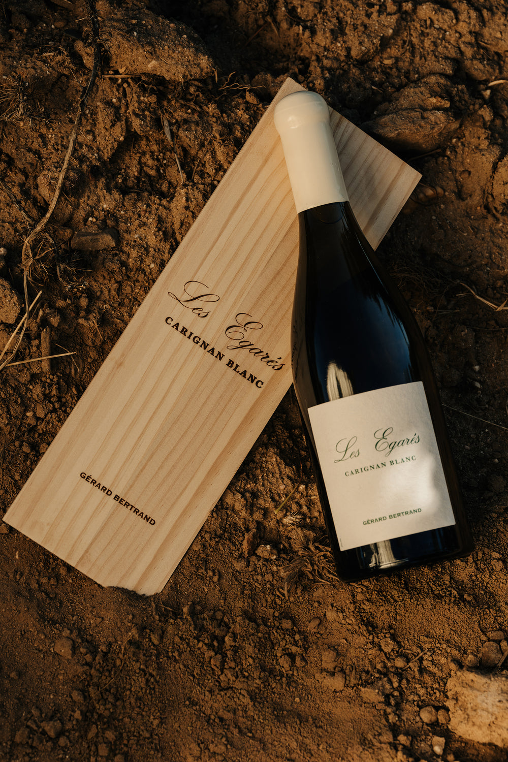 Les Égarés Carignan Blanc 2024 75cl Caisse Bois Unitaire
